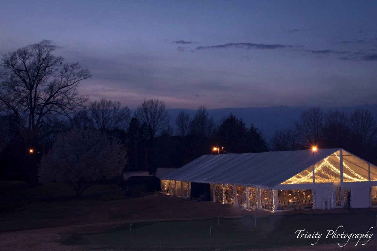 Professional Party Rentals