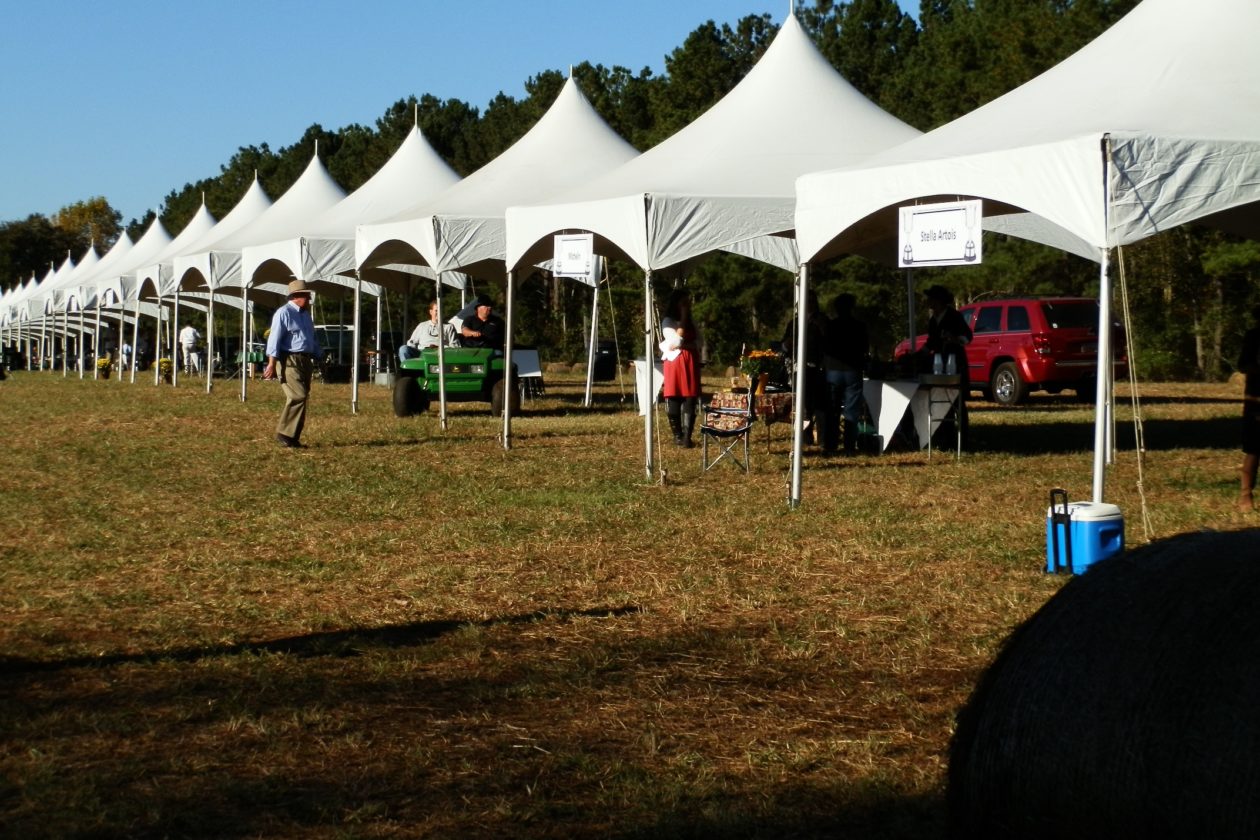 Professional Party Rentals